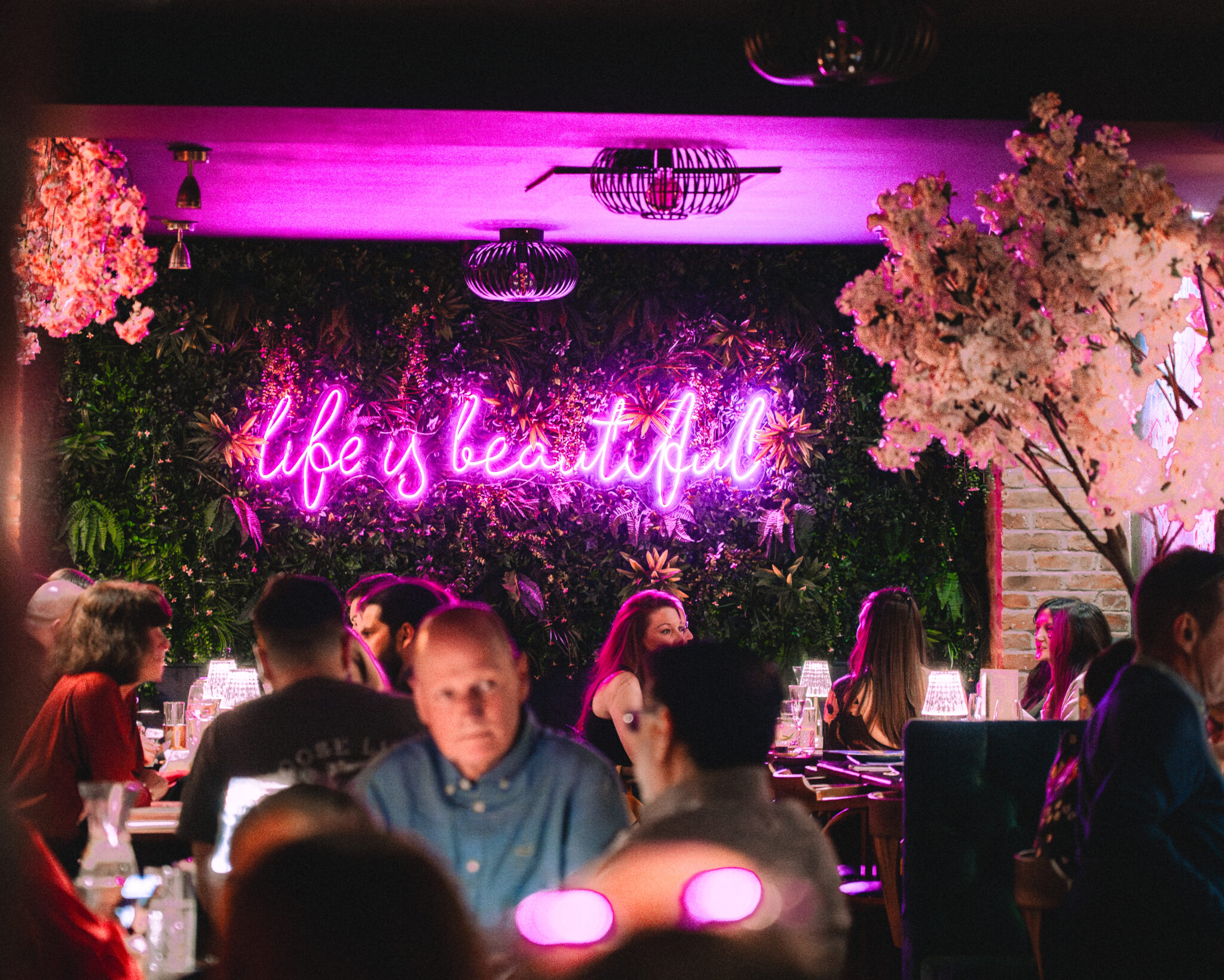 Restaurant – Turkuaz Restaurant Winchester